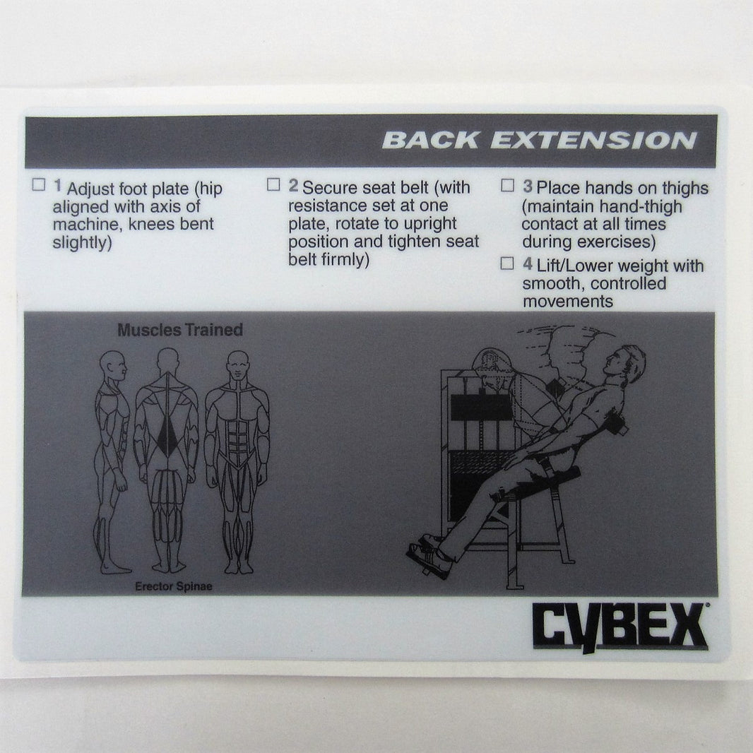 Cybex Classic Back Extension – FitnessGraphics.com