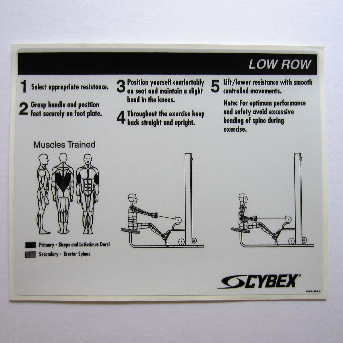 Cybex Low Row – FitnessGraphics.com