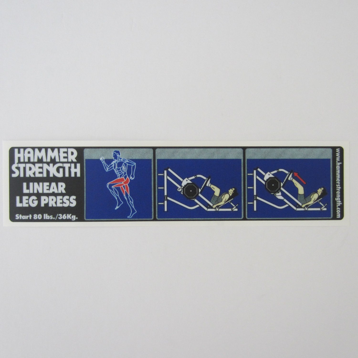 Linear Leg Press 80lb Start – FitnessGraphics.com