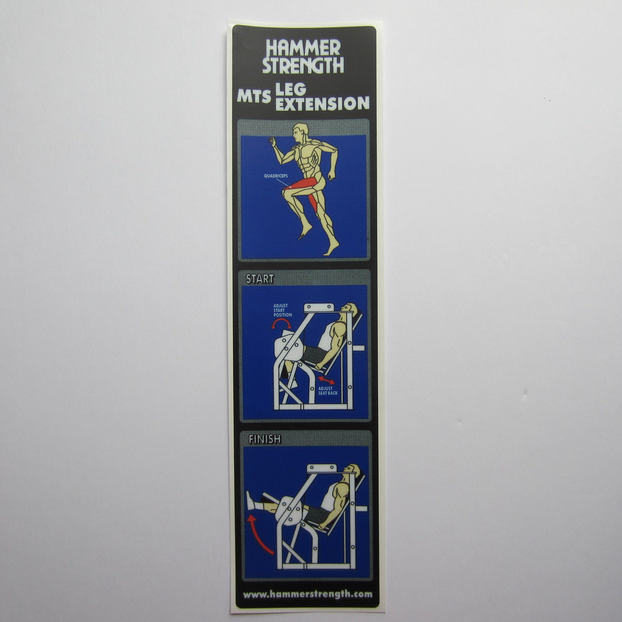 MTS Leg Extension – FitnessGraphics.com