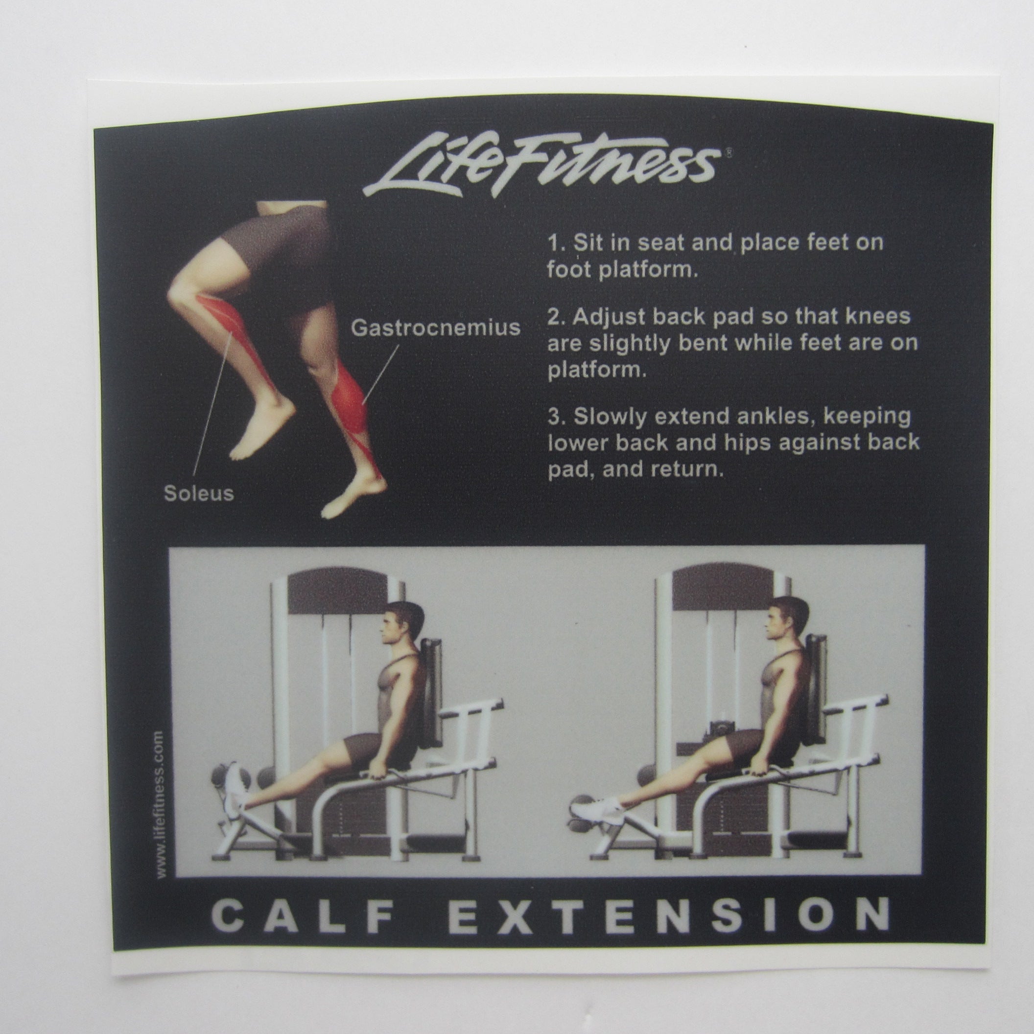 Life Fitness Signature Calf Extension Instruction Decal ...