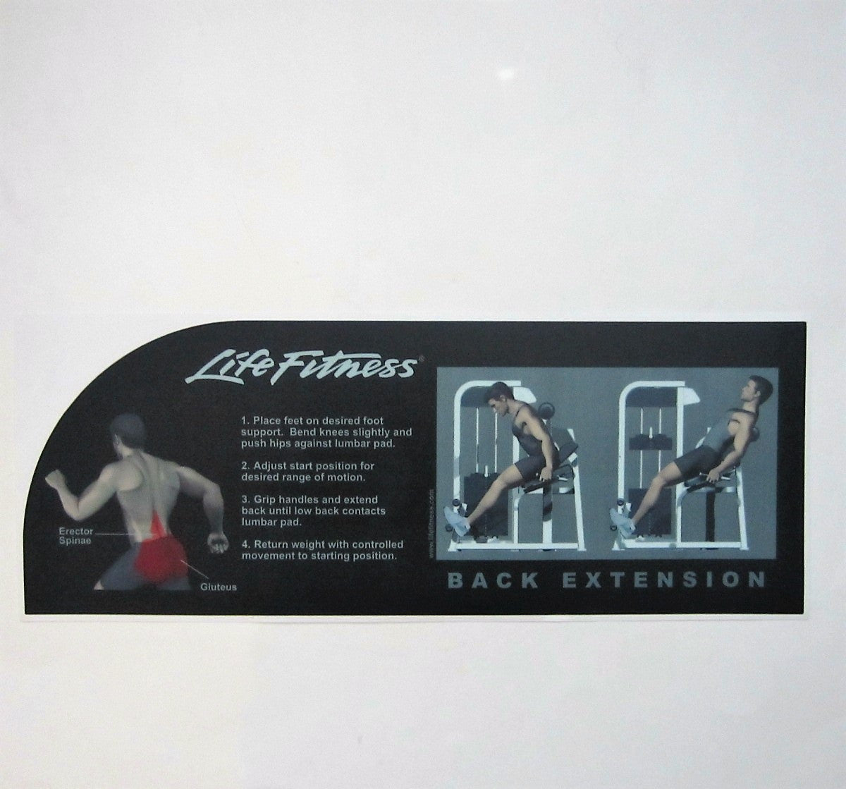 Pro 2 Back Extension – FitnessGraphics.com