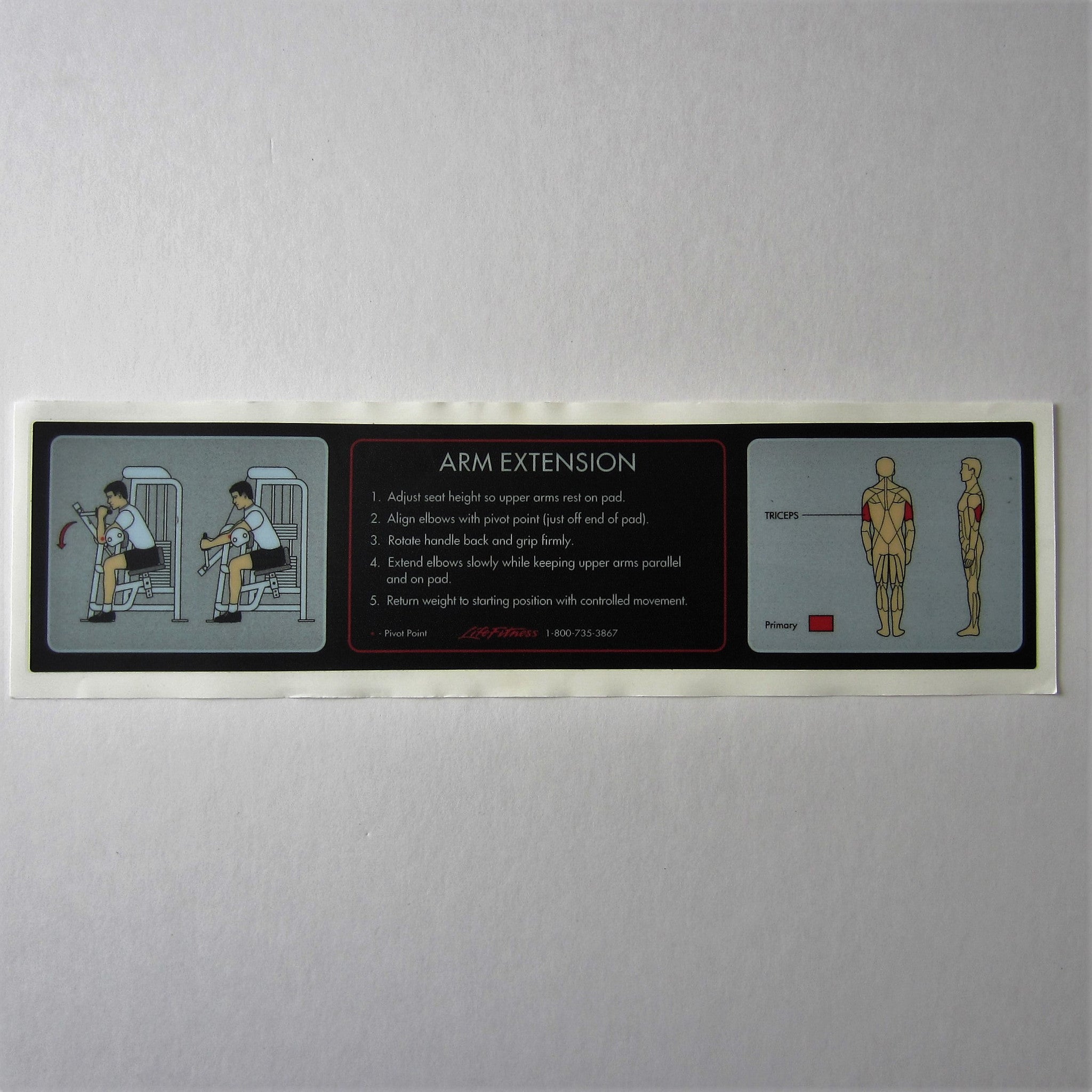 Pro 1 Arm Extension – FitnessGraphics.com