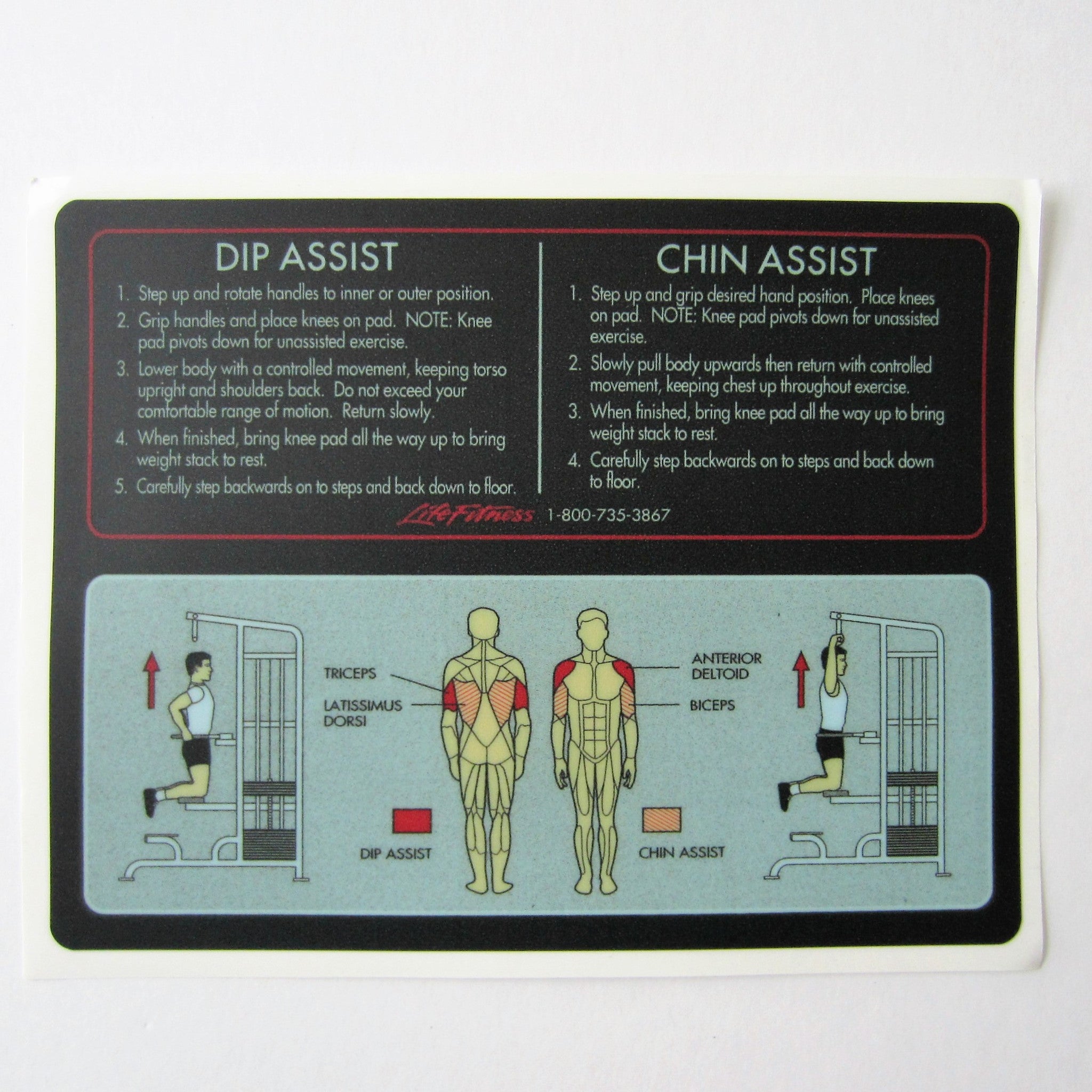 Pro 1 Dip Assist / Chin Assist – FitnessGraphics.com