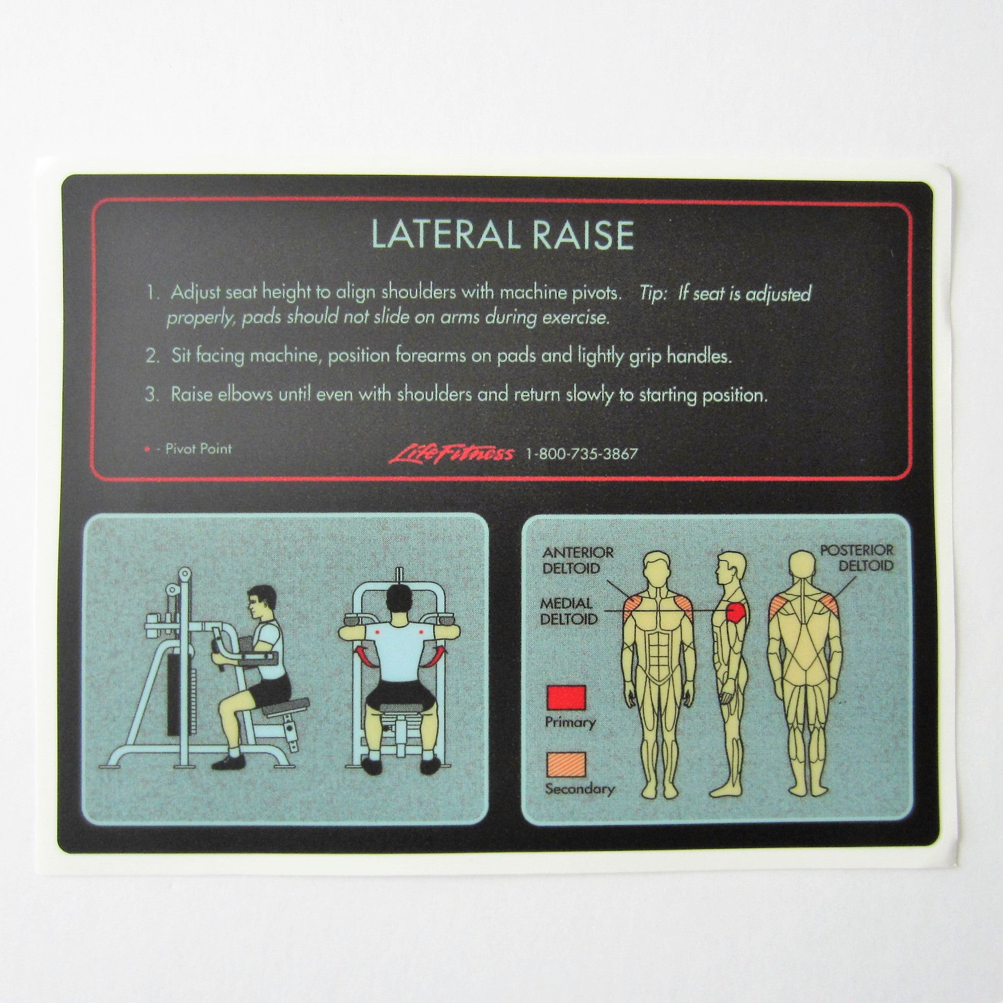 Pro 1 Lateral Raise – FitnessGraphics.com