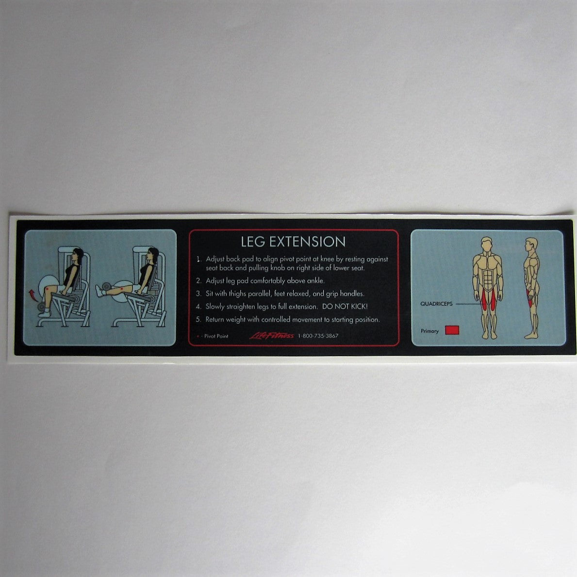 Pro 1 Leg Extension – FitnessGraphics.com