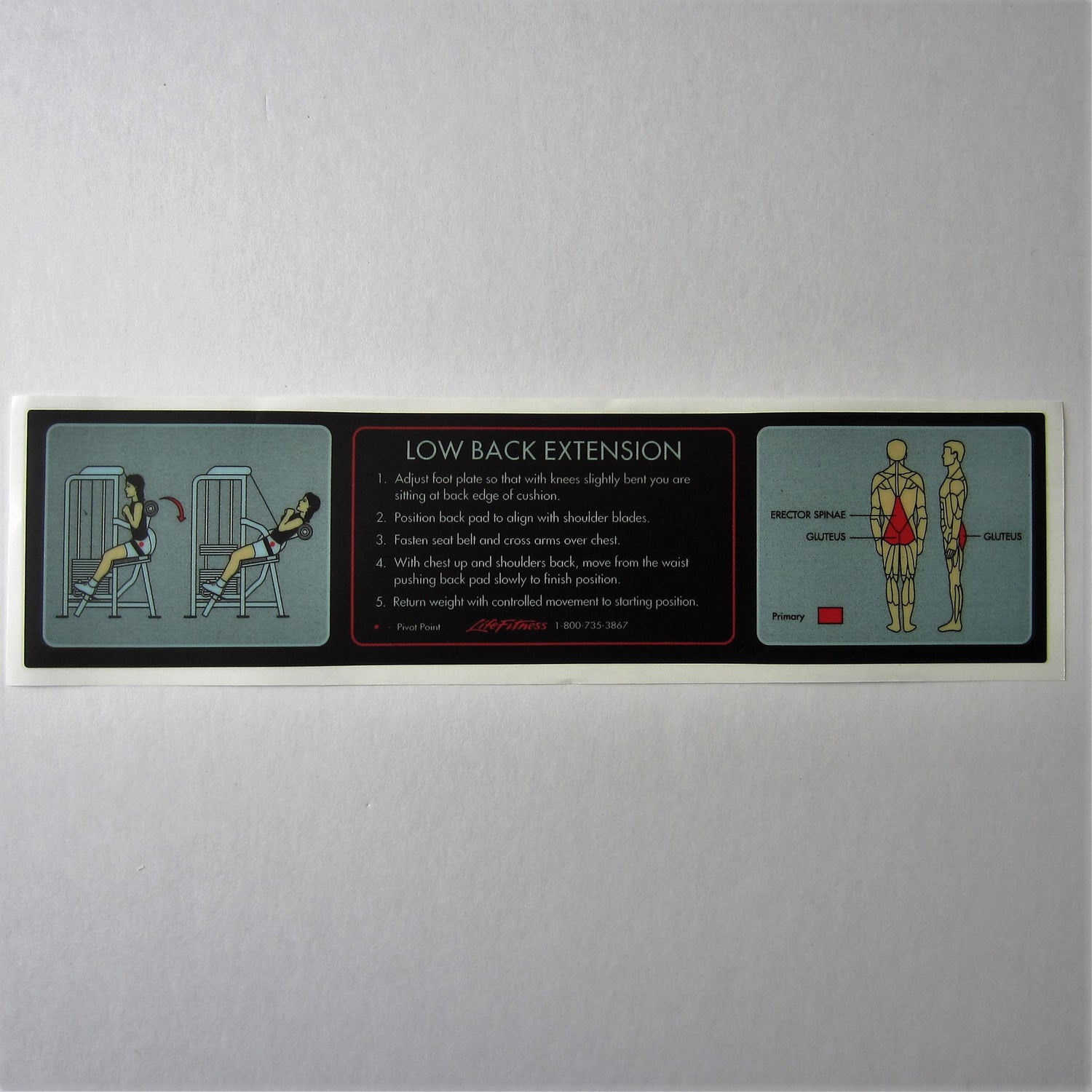 Pro 1 Low Back Extension – FitnessGraphics.com