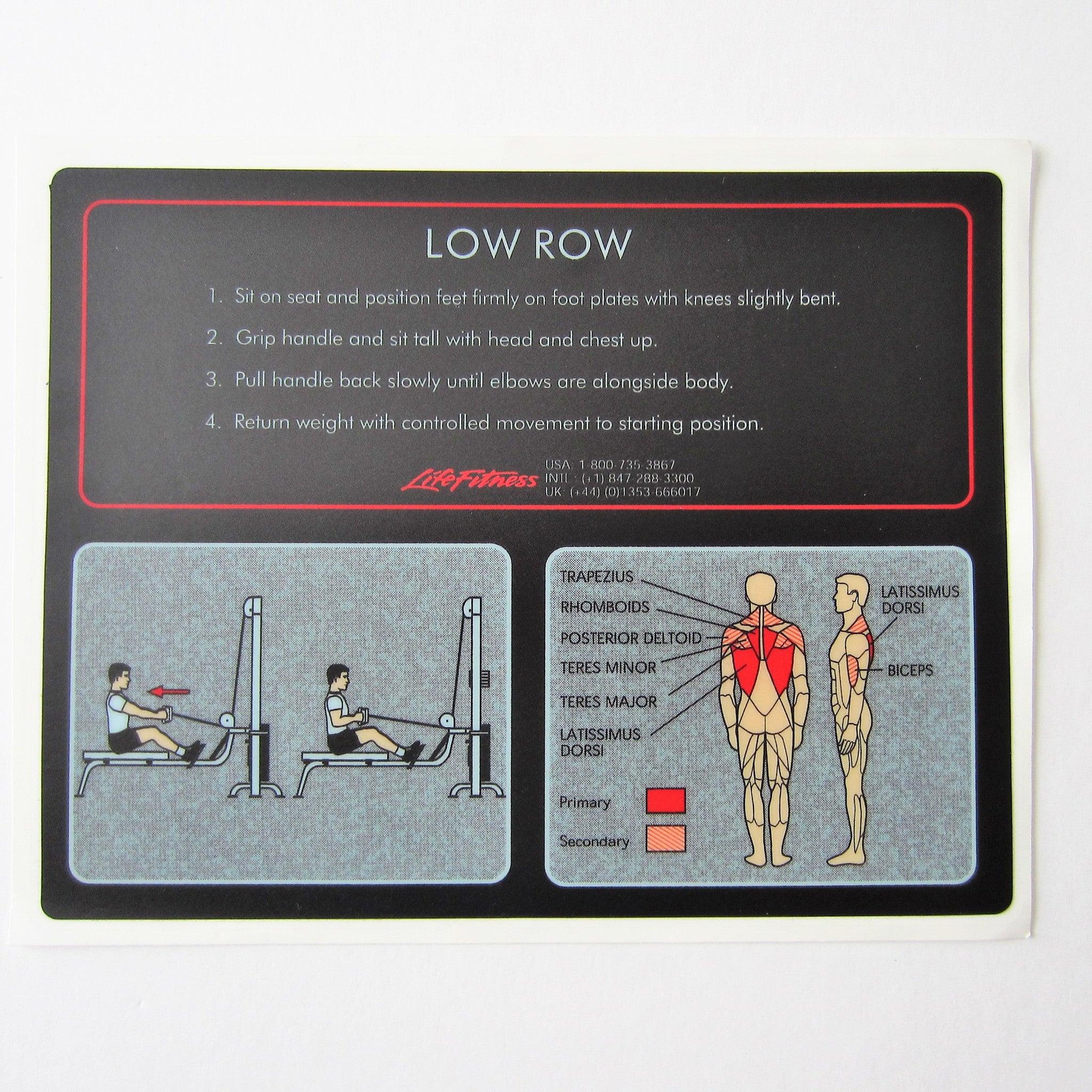 Pro 1 Low Row – FitnessGraphics.com