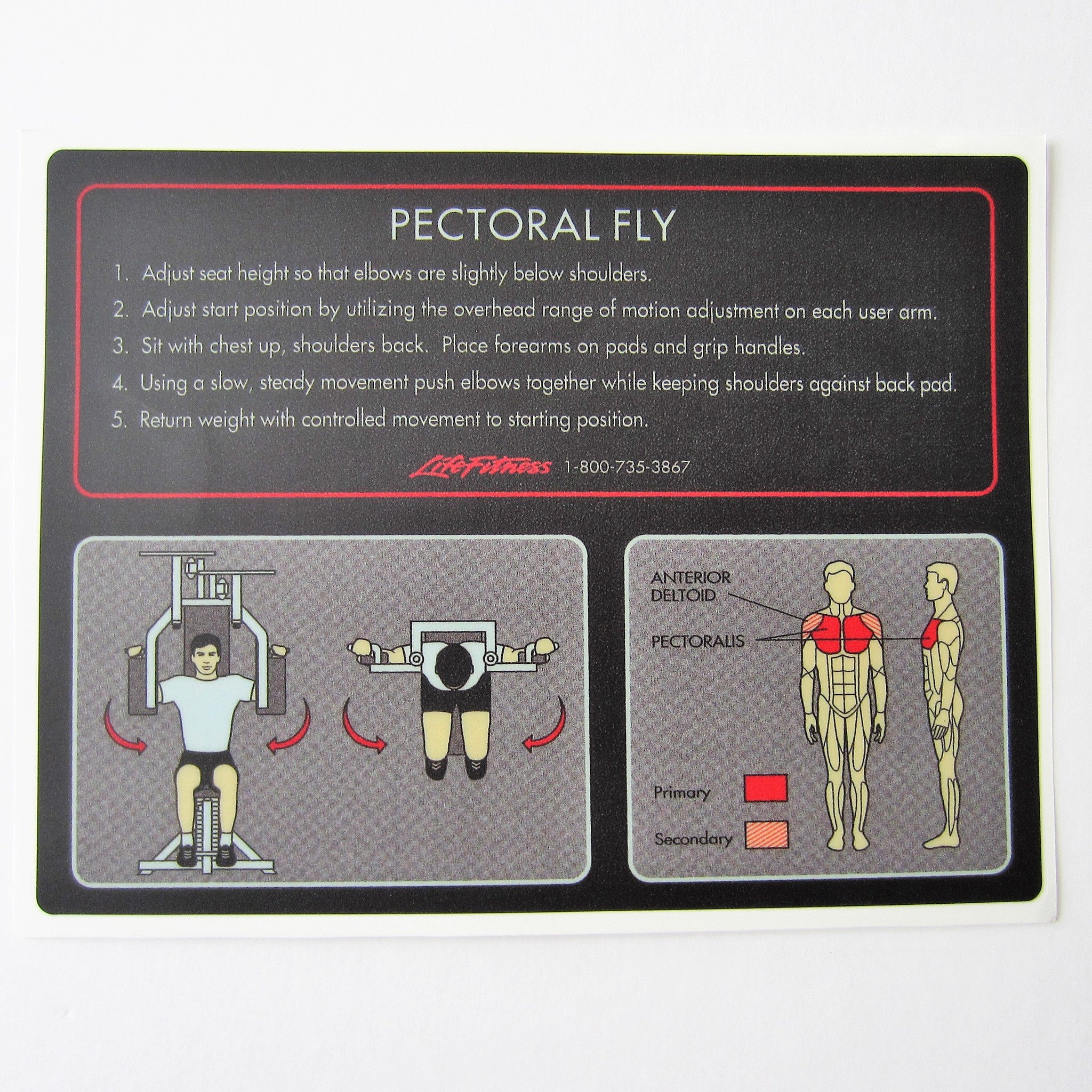 Pro 1 Pectoral Fly – FitnessGraphics.com