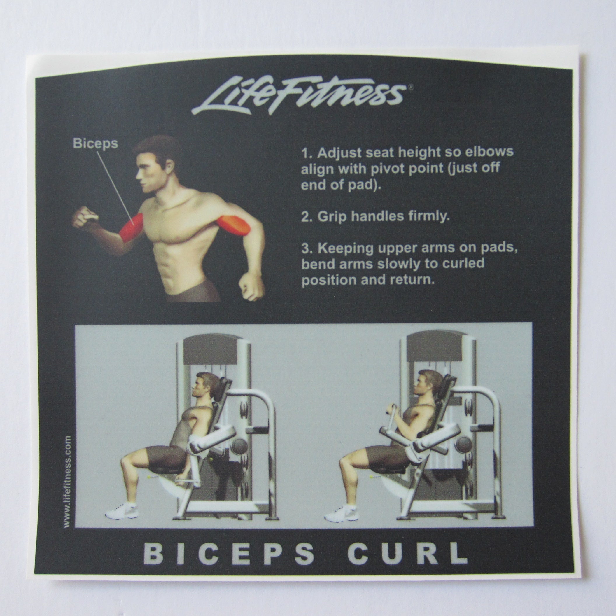 Bicep Curl Machine Life Fitness